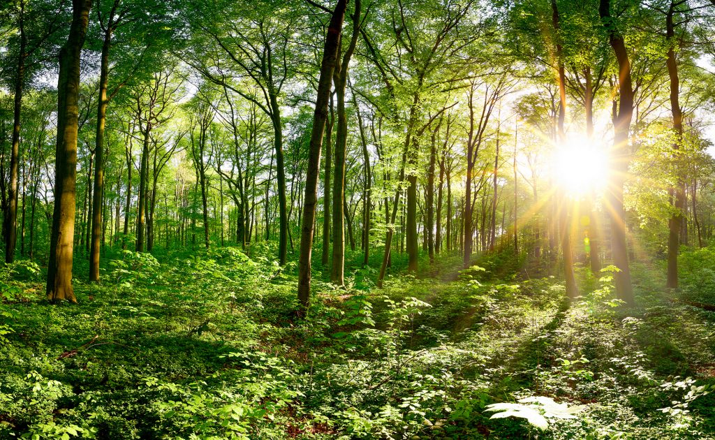 Rehab Treatment Center - Second Chances